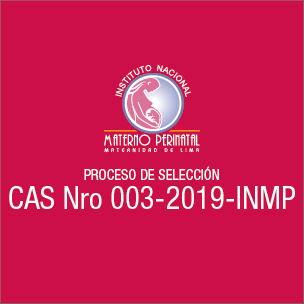 Instituto Nacional Materno Perinatal